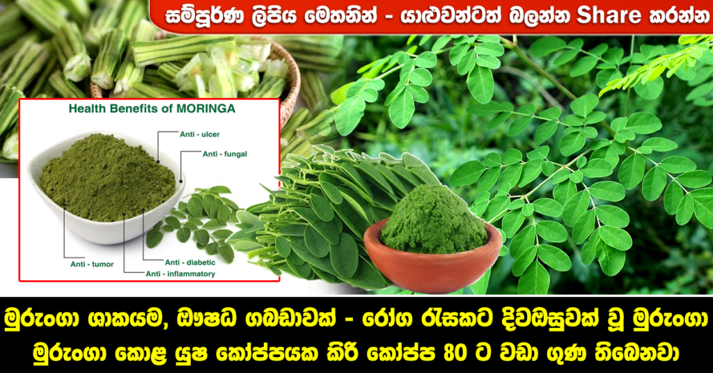 health-benifits-of-moringa | Health & Lifestyle Magazine | sriarana.net