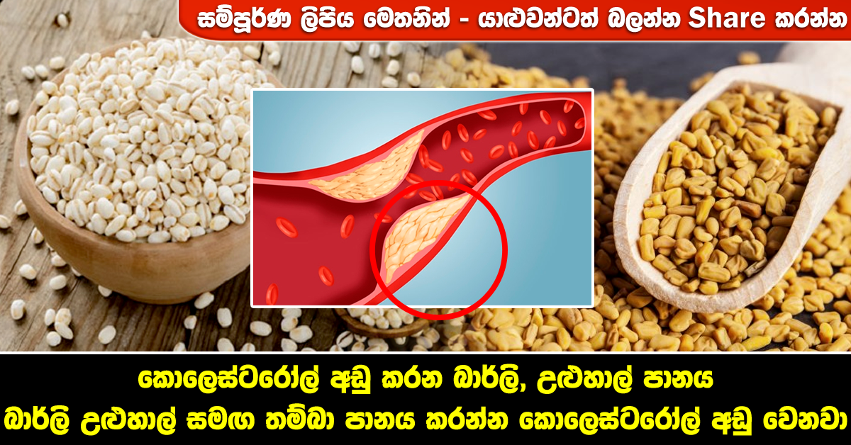 barli-uluhal-panaya | Health & Lifestyle Magazine | sriarana.net