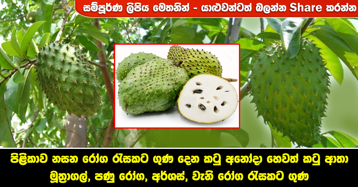 katu-anoda-katu-aatha | Health & Lifestyle Magazine | sriarana.net