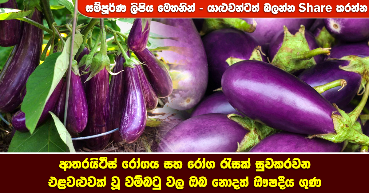 eggplant nutrition | Health & Lifestyle Magazine | sriarana.net