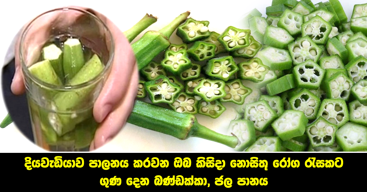 Ladies Finger Water can cure Diabetes? | Health & Lifestyle Magazine ...