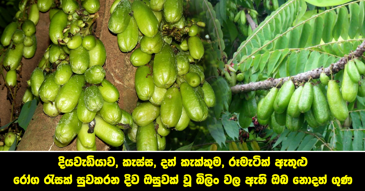 Health Benefits of Bilimbi | Health & Lifestyle Magazine | sriarana.net