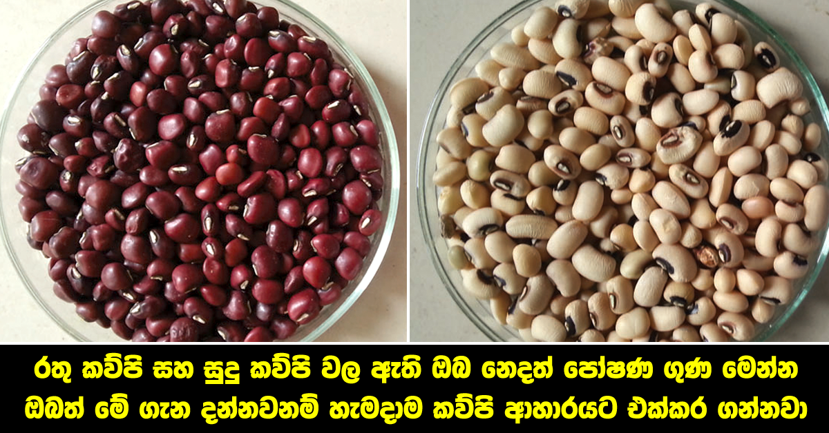 kaupi-nutree | Health & Lifestyle Magazine | sriarana.net