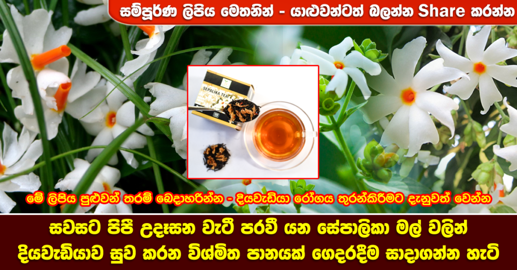 sepalika-tea for diabetes | Health & Lifestyle Magazine | sriarana.net