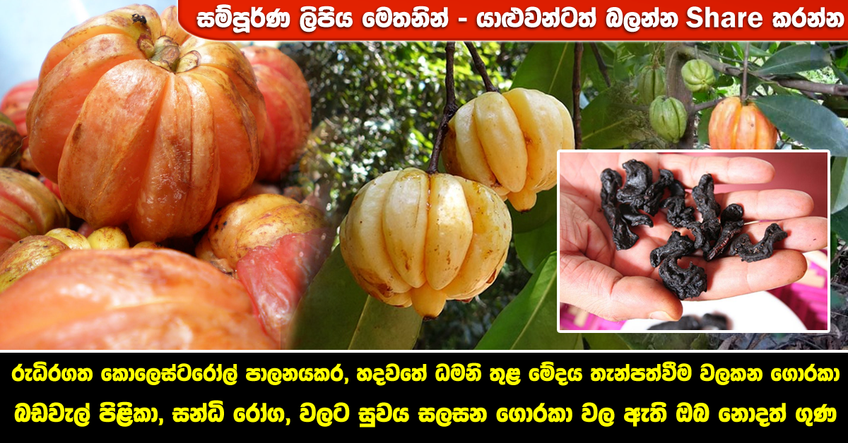 goraka | Health & Lifestyle Magazine | sriarana.net