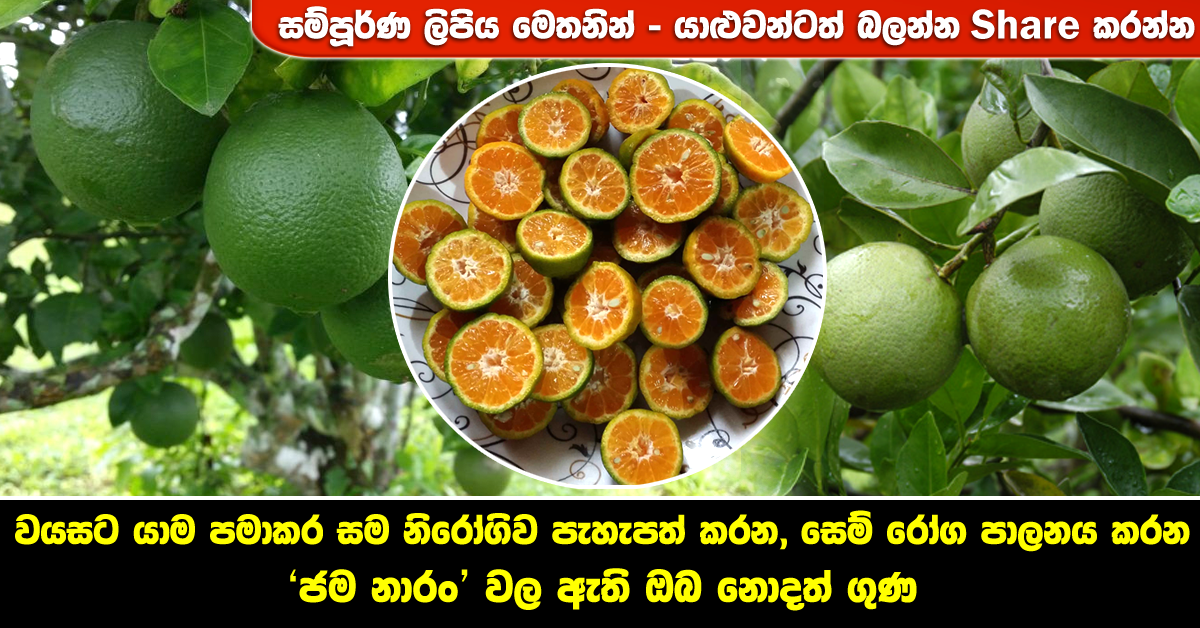 jamanaran | Health & Lifestyle Magazine | sriarana.net