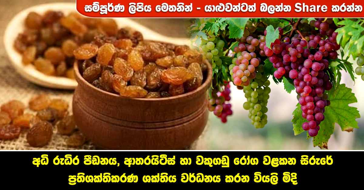 viyali-midi | Health & Lifestyle Magazine | sriarana.net