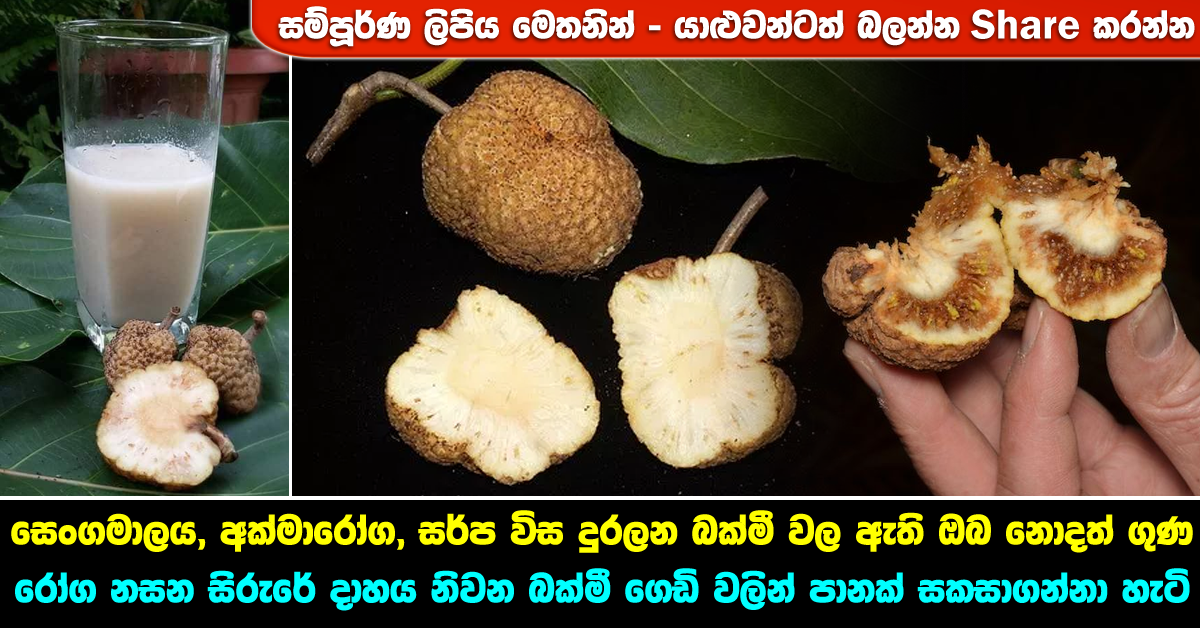 bakmee bakini | Health & Lifestyle Magazine | sriarana.net