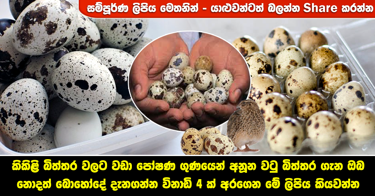watu egg | Health & Lifestyle Magazine | sriarana.net