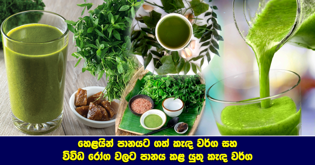 kola Kenda | Health & Lifestyle Magazine | sriarana.net