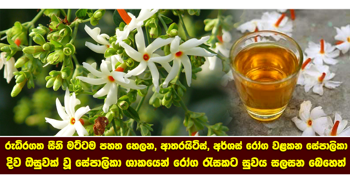 Sepalika Flower Drink | Health & Lifestyle Magazine | sriarana.net