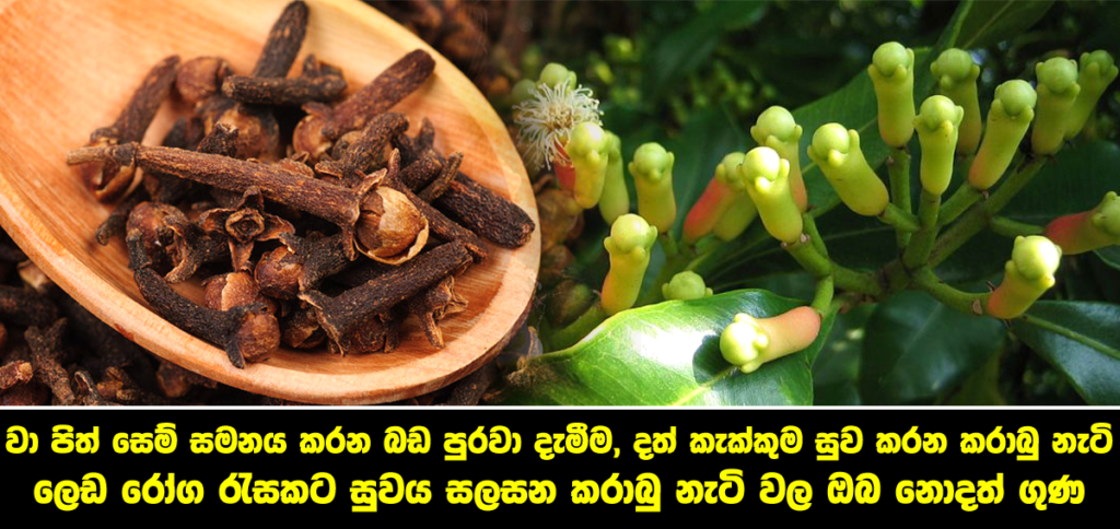 karabunati | Health & Lifestyle Magazine | sriarana.net