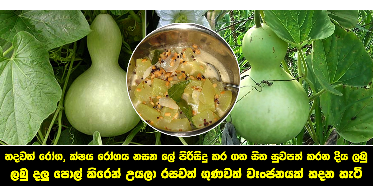 diya labu curry | Health & Lifestyle Magazine | sriarana.net