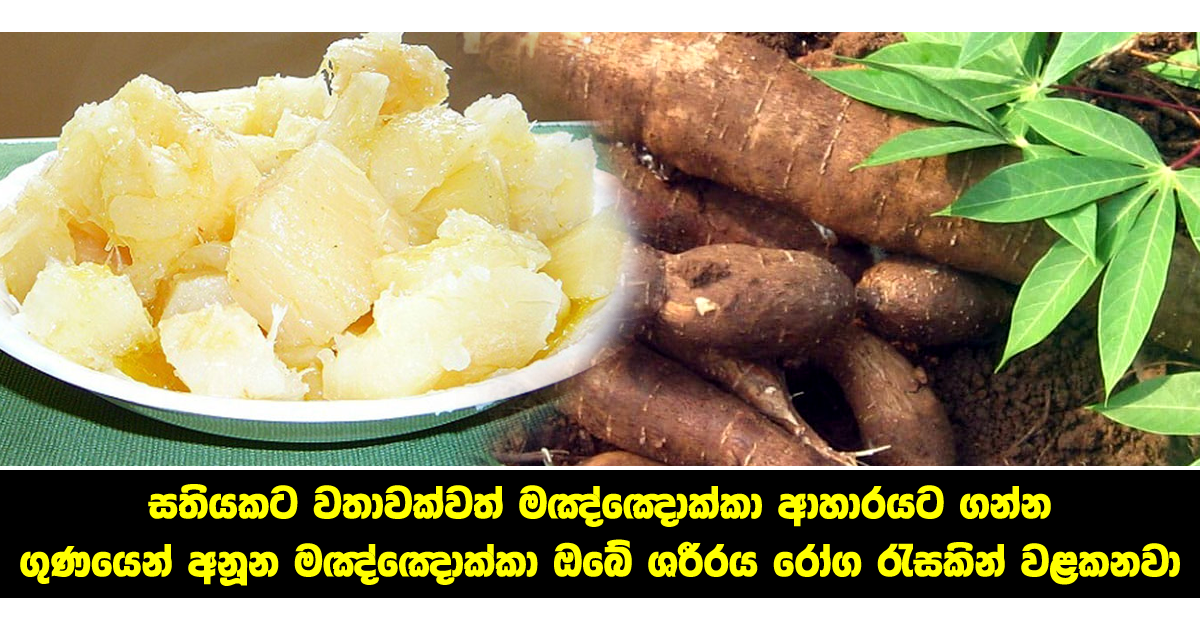 manioc health benefits | Health & Lifestyle Magazine | sriarana.net