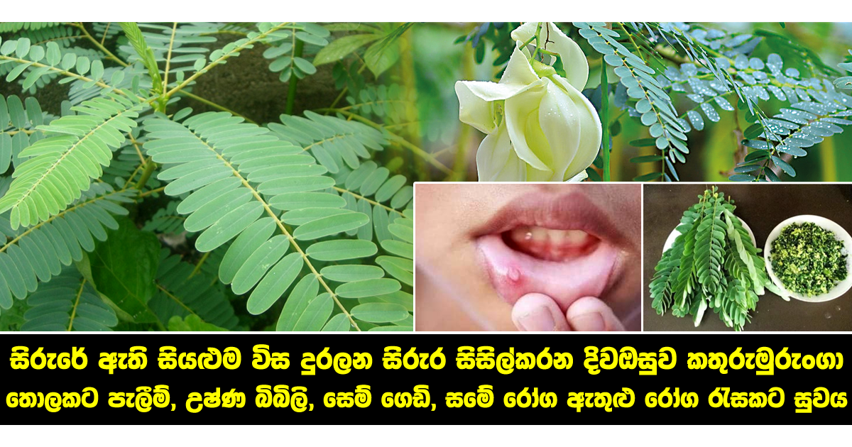 kathurumurunga | Health & Lifestyle Magazine | sriarana.net