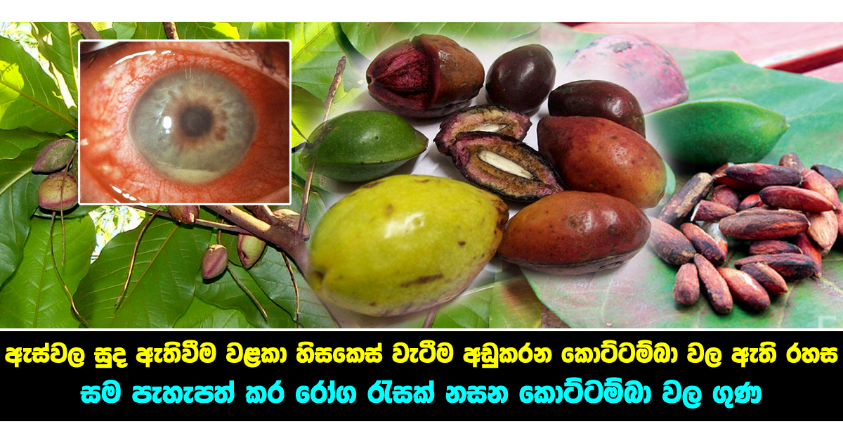 kottamba | Health & Lifestyle Magazine | sriarana.net