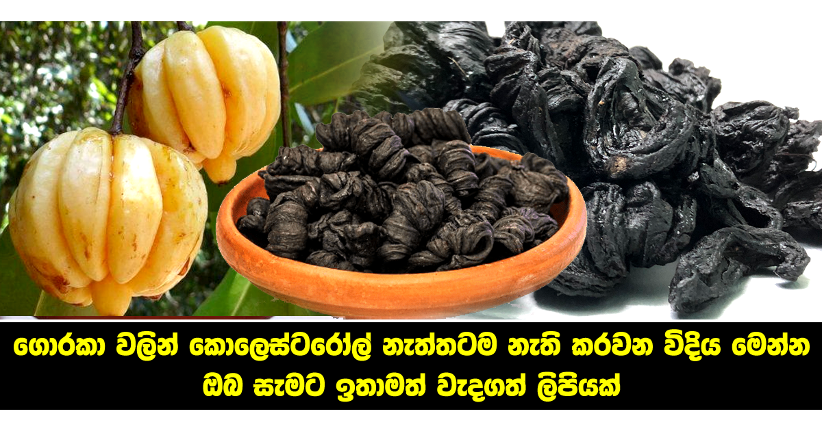 goraka-chorestrol | Health & Lifestyle Magazine | sriarana.net