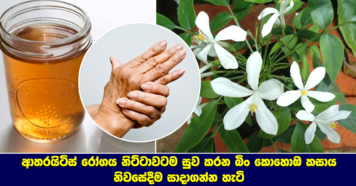 Bin Kohomba | Health & Lifestyle Magazine | sriarana.net