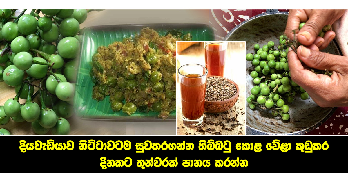 Thibbatu Wala Athi Guna | Health & Lifestyle Magazine | sriarana.net