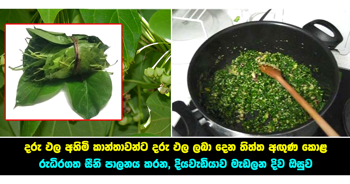 thiththa-aguna | Health & Lifestyle Magazine | sriarana.net