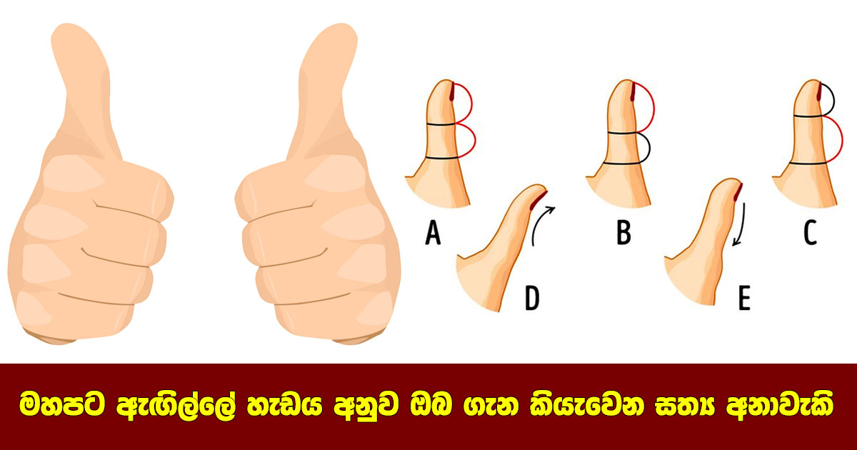 The Shape of Your Thumb Can Reveal Something About Your Personality ...