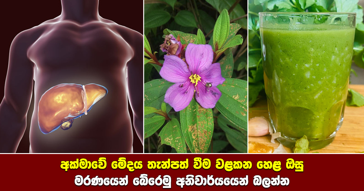 liver fat burning foods | Health & Lifestyle Magazine | sriarana.net